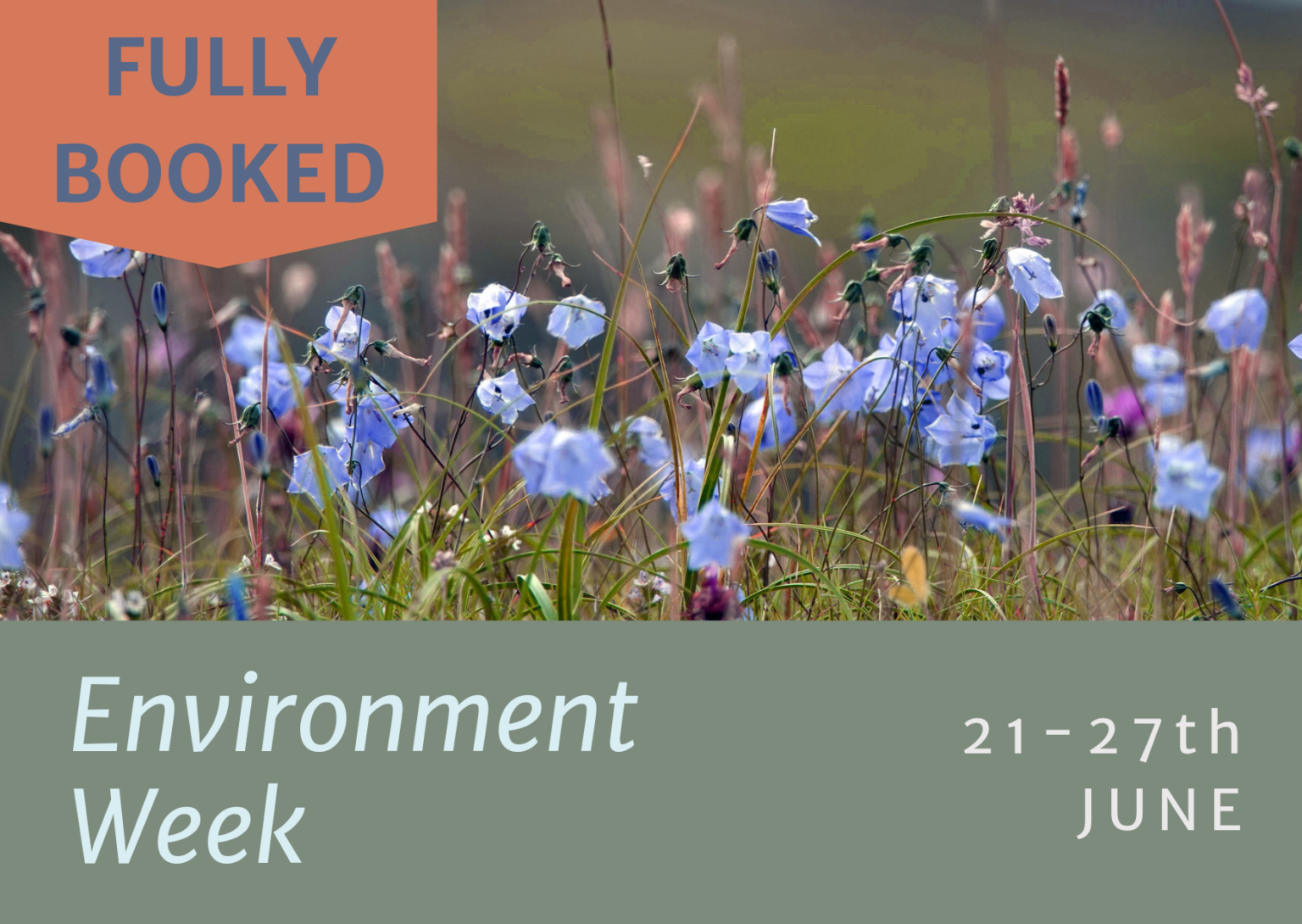Environment Week (FULLY BOOKED - waiting list open) - Iona Community