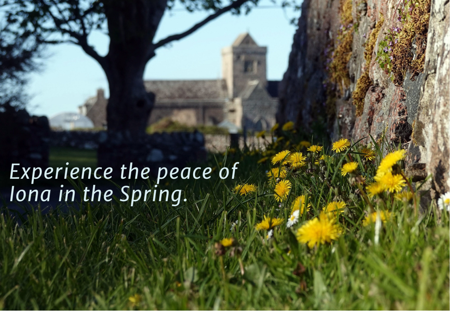 Spring on Iona - Iona Community